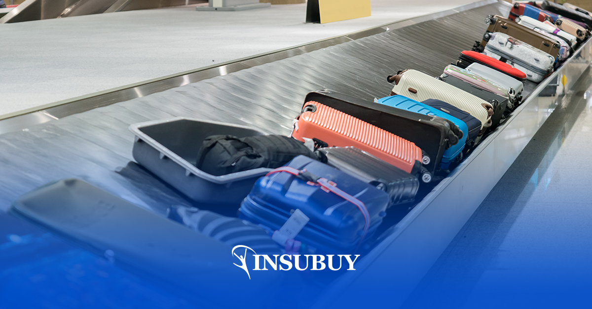 Baggage Delays and Travel Hassles? How Insubuy Trip Insurance Keeps You ...
