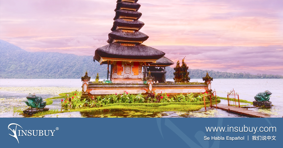 Bali Travel Insurance | Insubuy