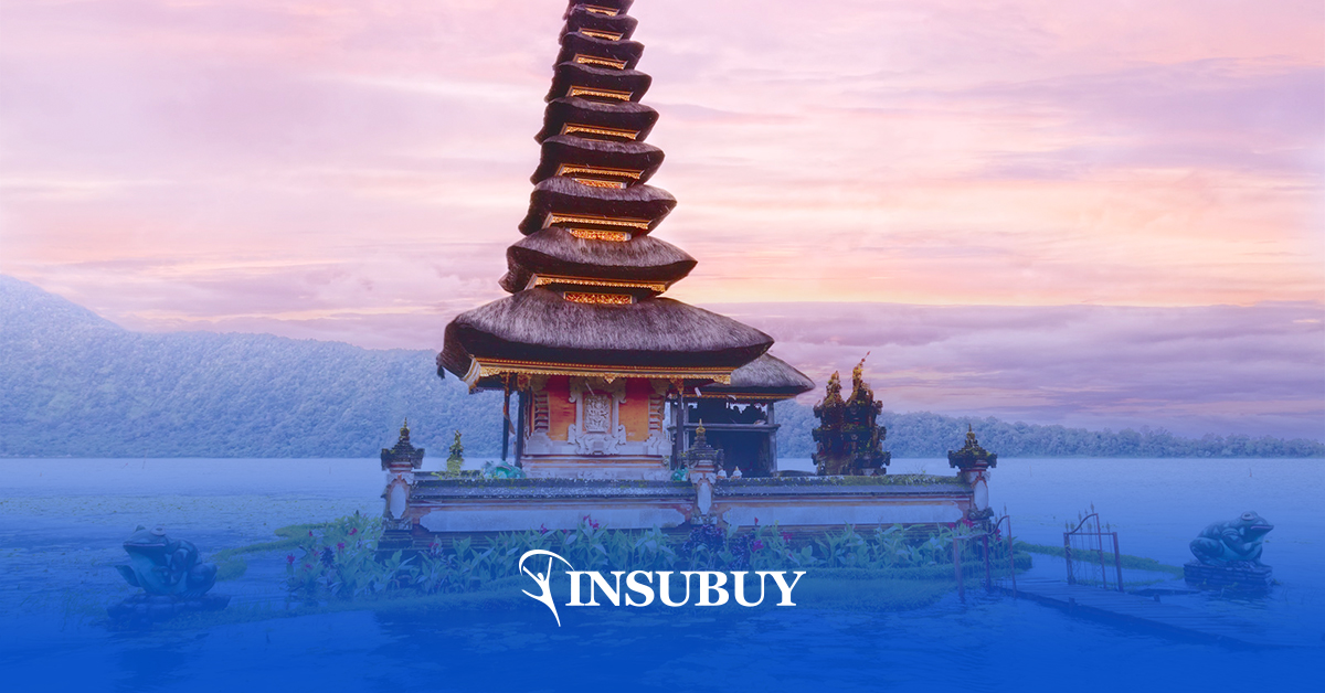 Bali Travel Insurance | Insubuy