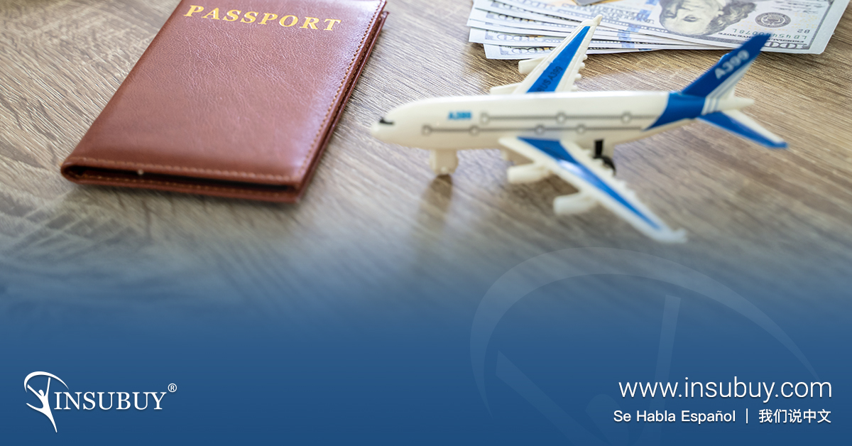 Budget Travel Insurance 2024 | Insubuy