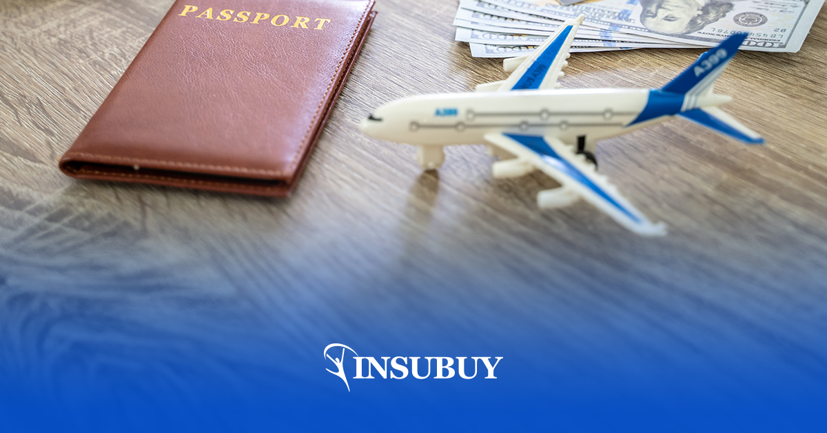 Budget Travel Insurance 2024 | Insubuy