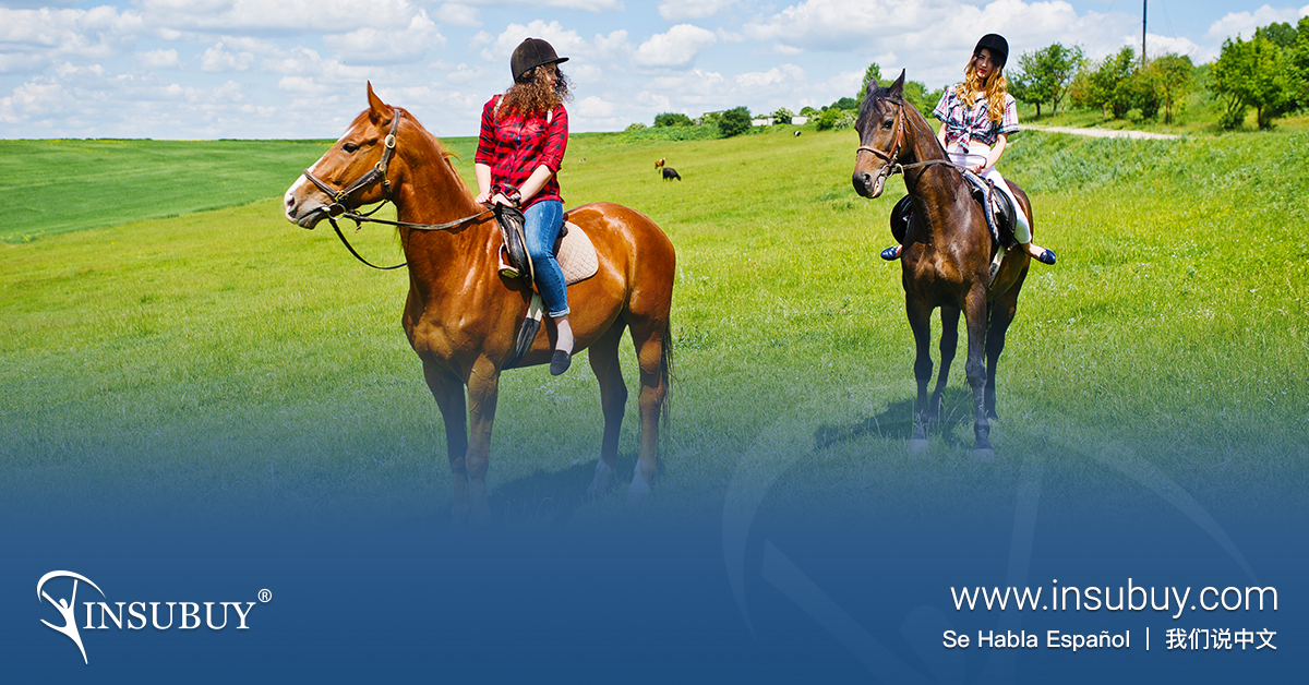 Horseback Riding Travel Insurance | Insubuy