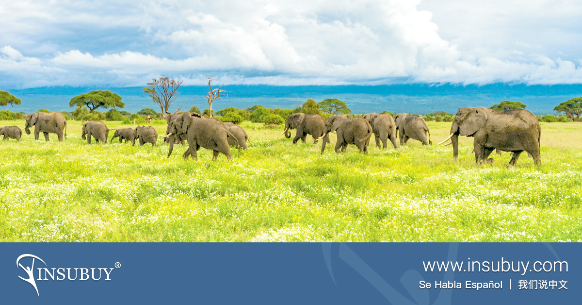 Kenya Travel Insurance