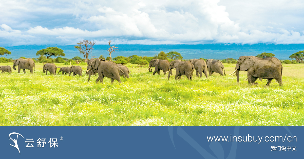 肯尼亚旅行保险